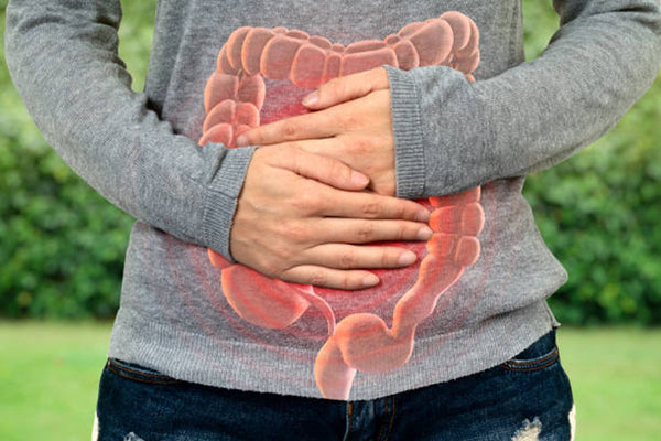Can Digestive Health Supplements Improve Gut Health?